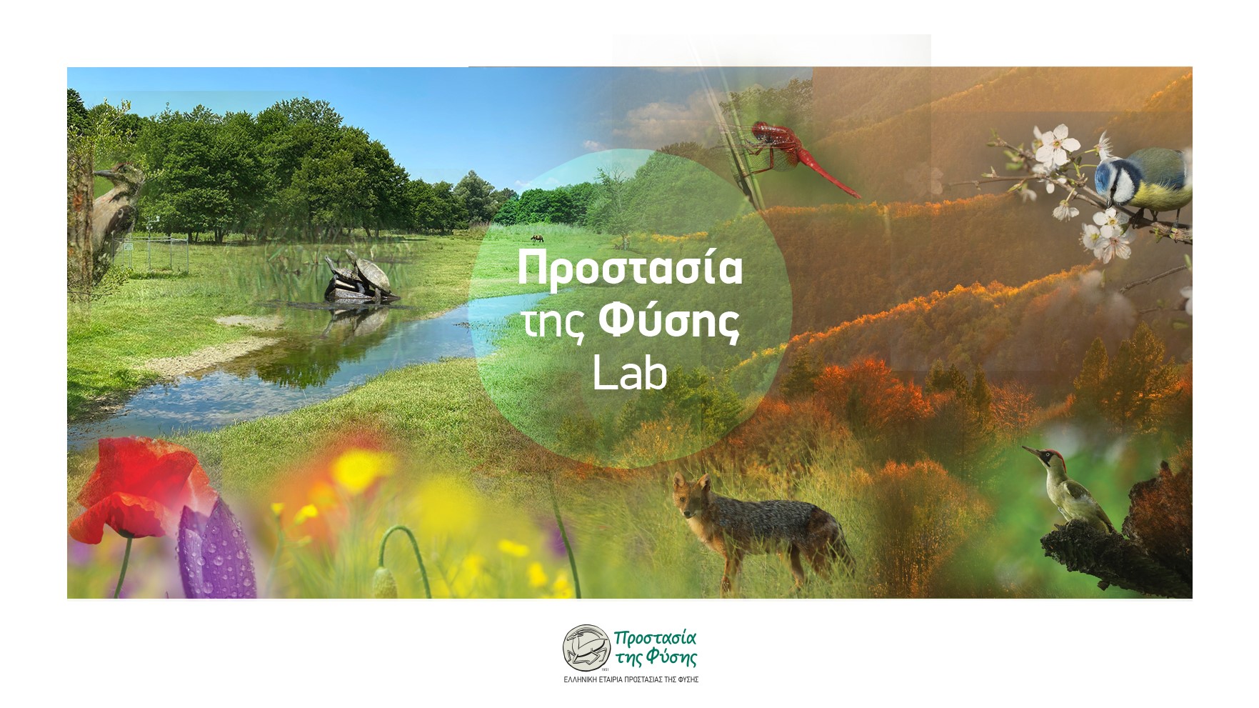 Νέος κύκλος δράσεων από την Ελληνική Εταιρία Προστασίας της Φύσης